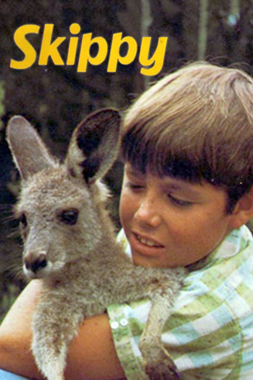 Skippy (series, 1968 – 1970)