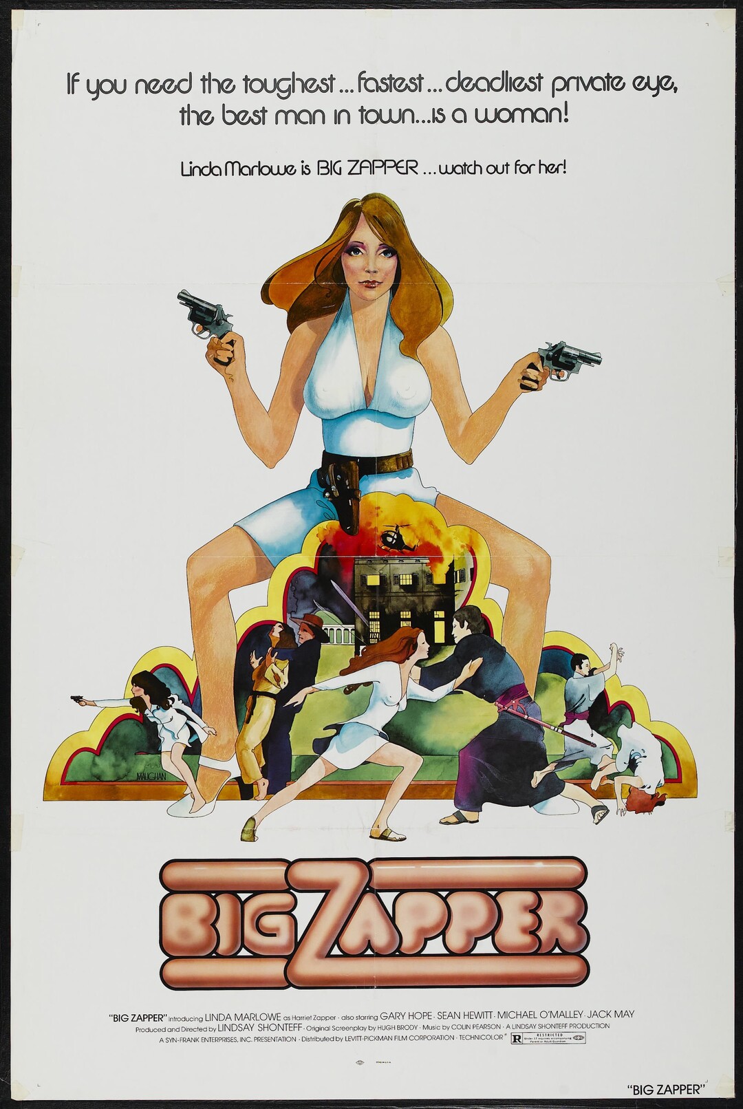 Big Zapper (movie, 1973)