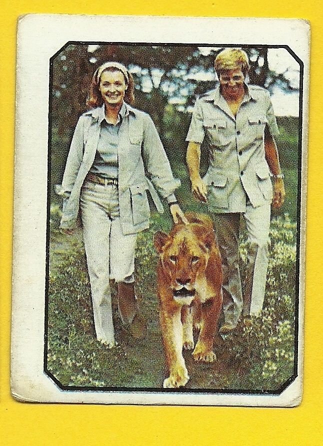 Born Free (series, 1974)