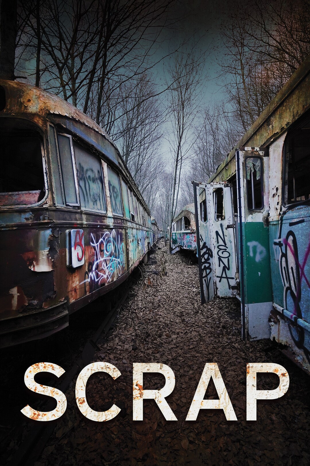 Posters - Scrap