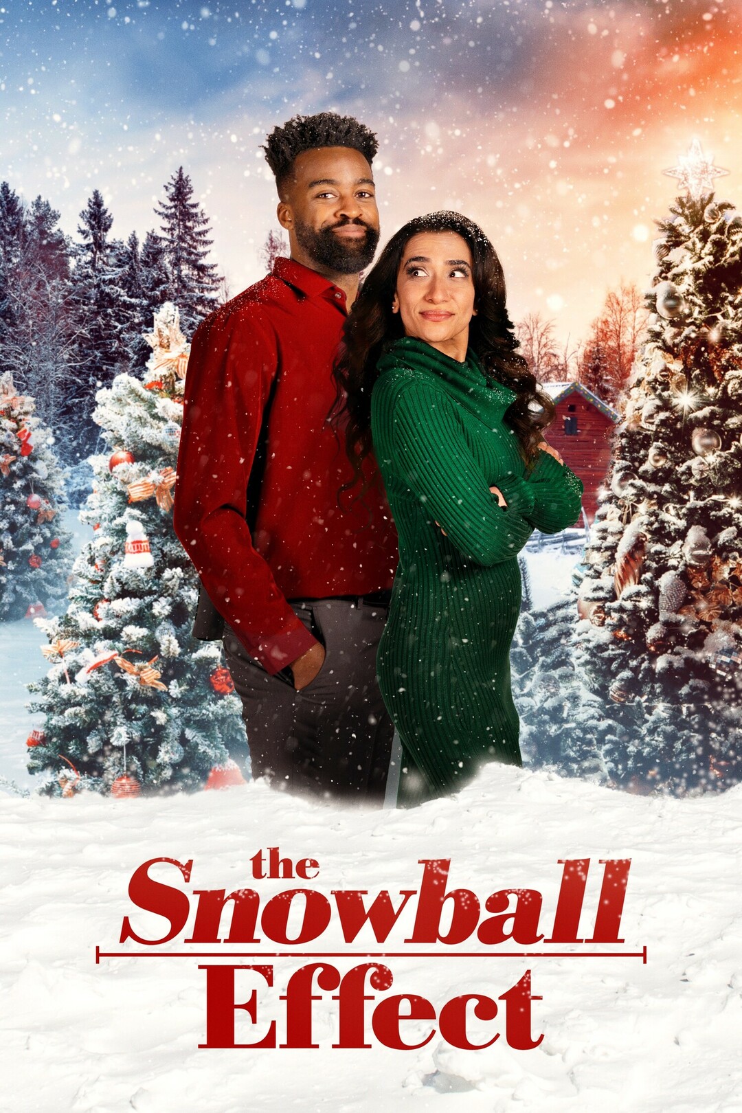Posters - The Snowball Effect