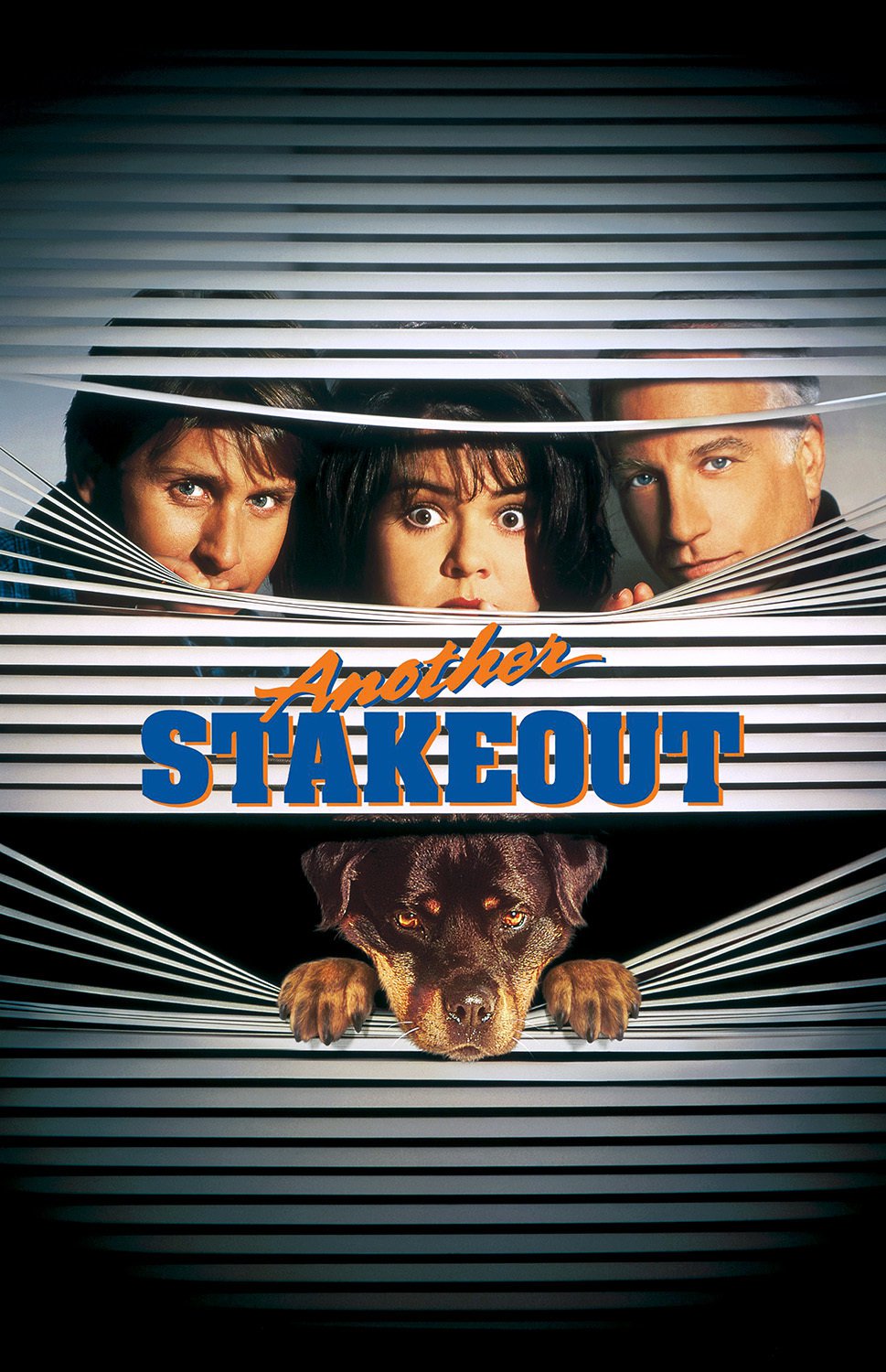 Another Stakeout (movie, 1993)