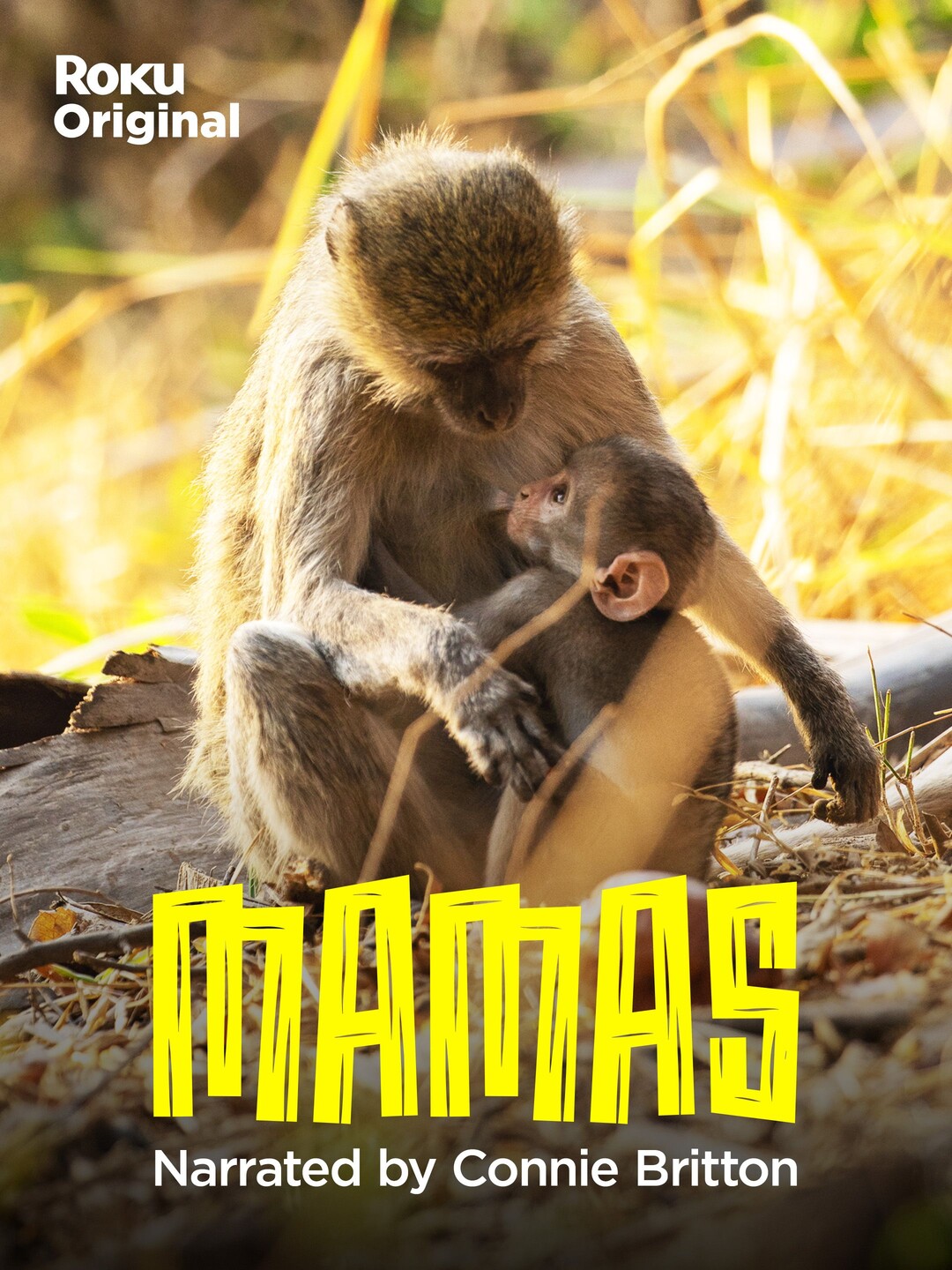 Cast - Mamas (2022 – ...)