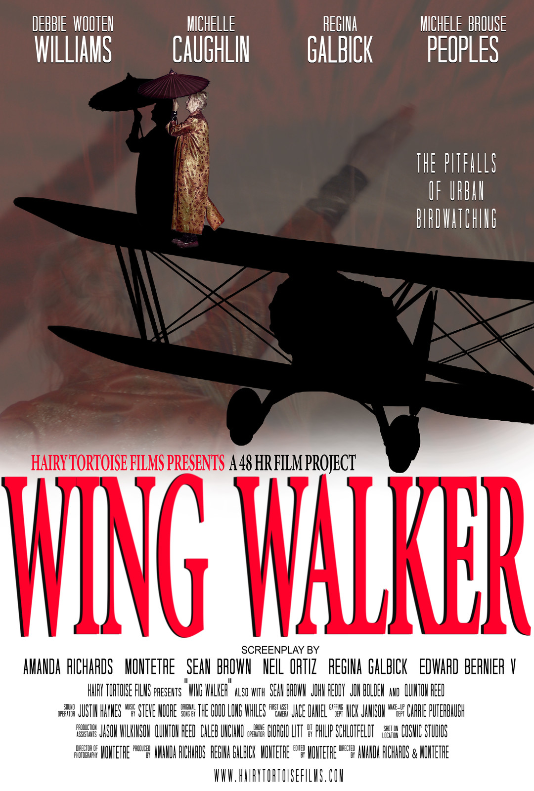 Screenshots - Wing Walker