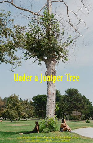 Screenshots - Under a Juniper Tree