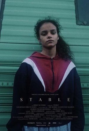 Posters - Stable