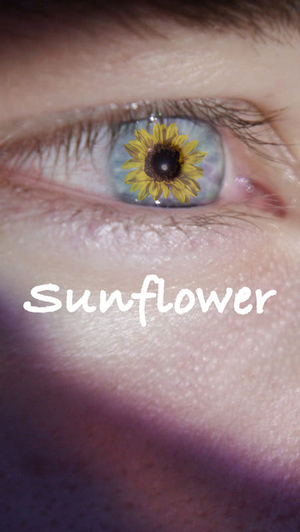 Актёры - Sunflower (2021)