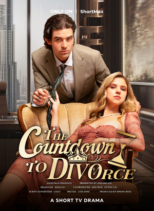 Cast - The Countdown to Divorce (2025)