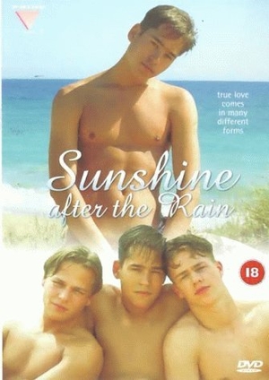 Актёры - Sunshine After the Rain (1996)