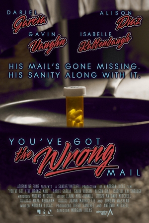 You've Got (the Wrong) Mail (фільм, 2025)