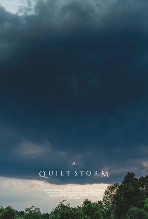 A Quiet Storm (фильм)