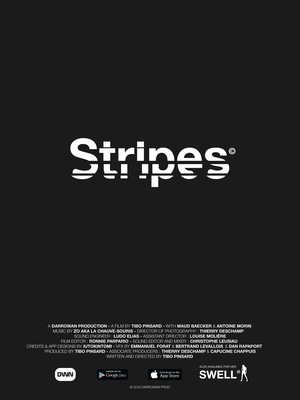 Stripes (movie, 2016)