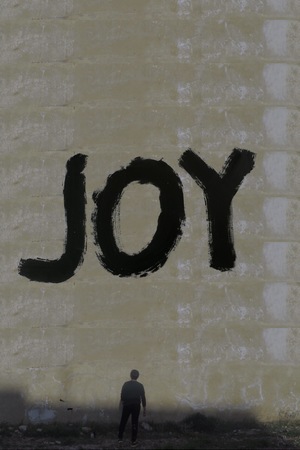 Joy (movie, 2017)