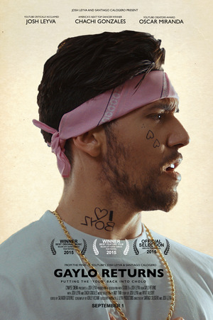 Cast - Gaylo Returns (2017)