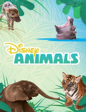 Red River Hog Piglets - Disney Animals (1 season, 4 series - S01E04)
