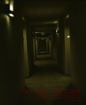 Do Not Disturb (movie, 2016)