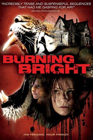 Screenshots - Burning Bright