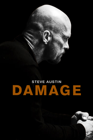 Damage (movie, 2009)