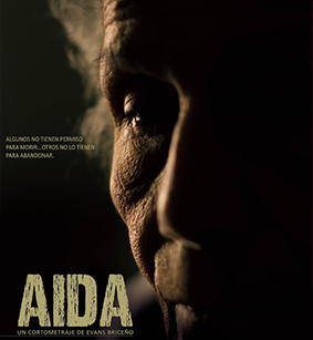 Aida (movie, 2012)