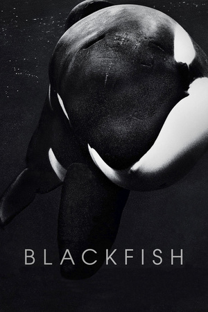 Cast - Blackfish (2013)