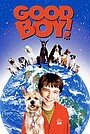 Cast - Cats & Dogs (2001)