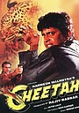 Shapath (movie, 1997)