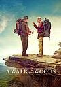 Cast - Wild (2014)